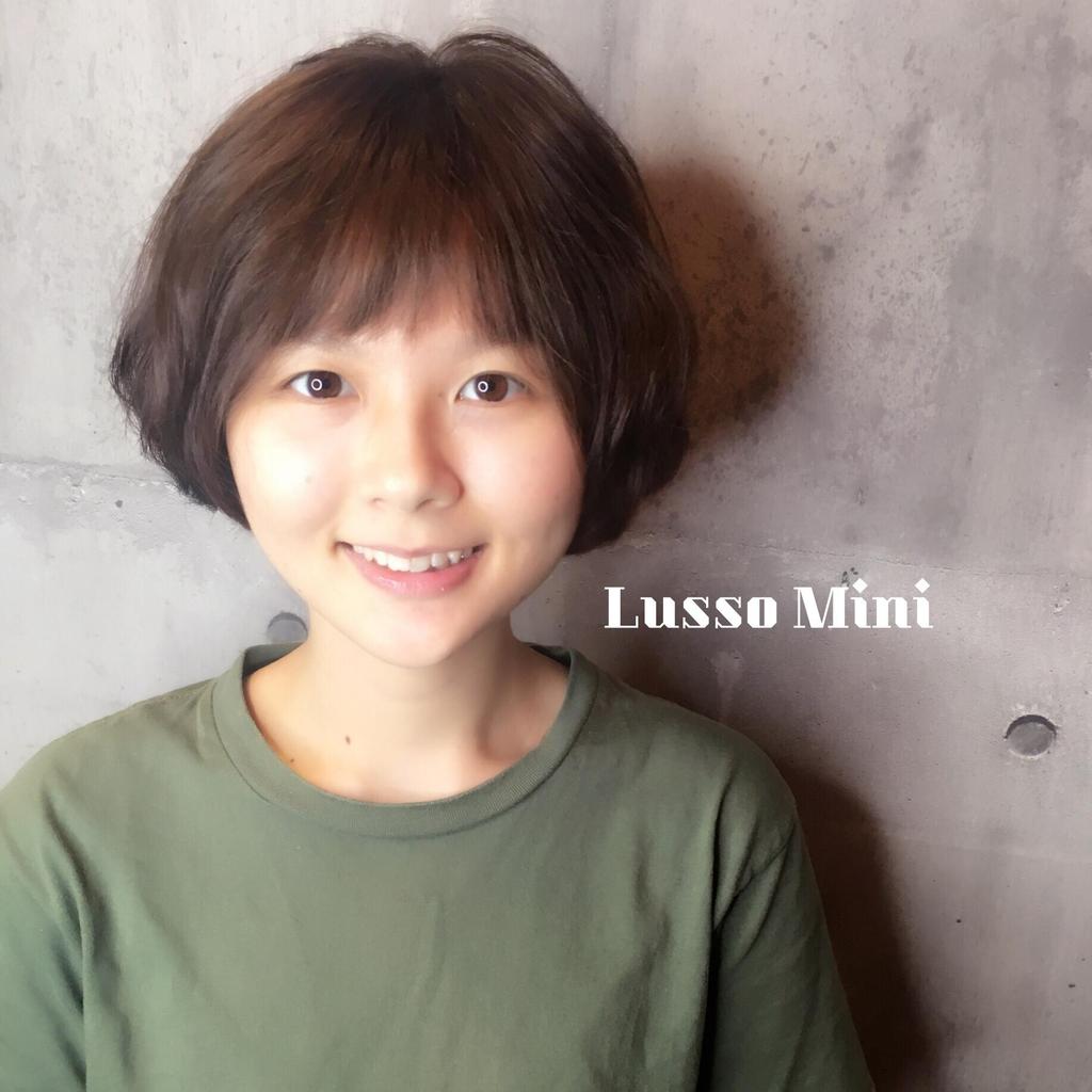 Lusso Mini | StyleMap美配