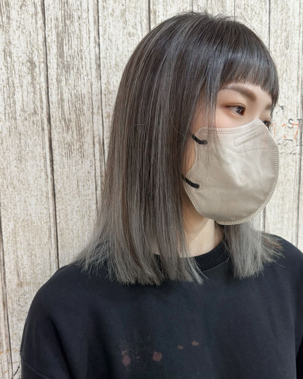 Horse | StyleMap美配