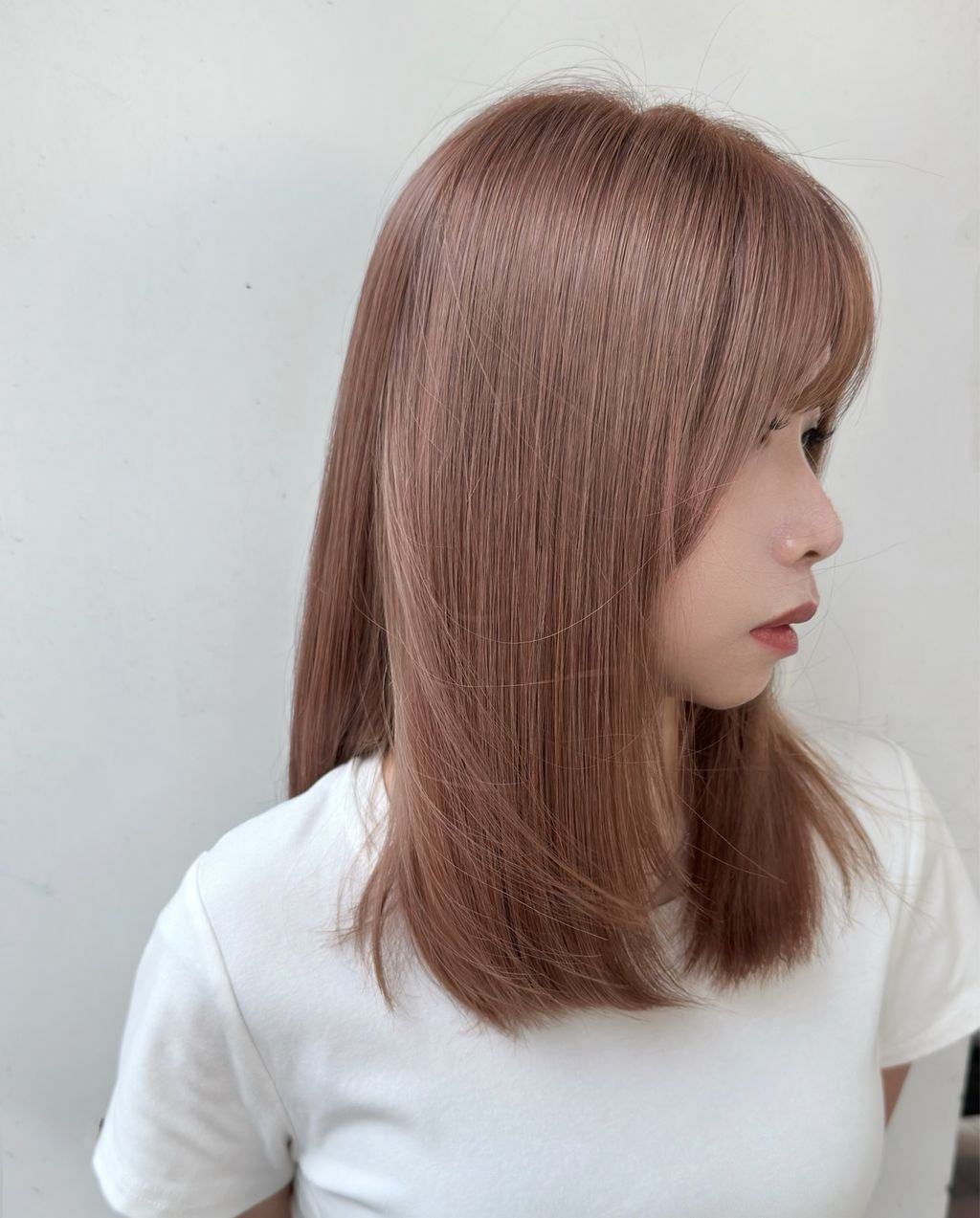 Horse | StyleMap美配